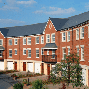 Biodiversity Net Gain Company | BNG Units | Civity NGE