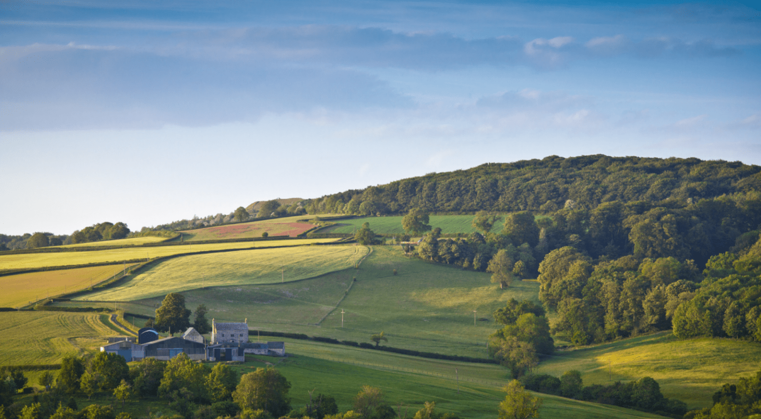 Biodiversity Net Gain Exemptions: When BNG Doesn't Apply