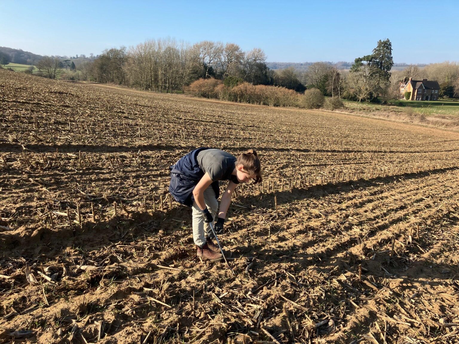 How to Prepare Your Land for BNG Opportunities: A Checklist